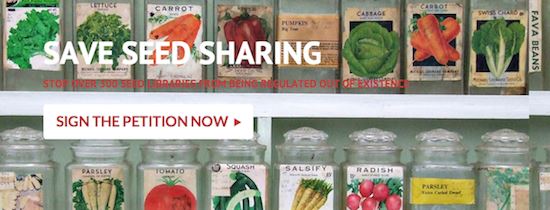 How to Join the Seed-Sharing Movement – Mother Earth News